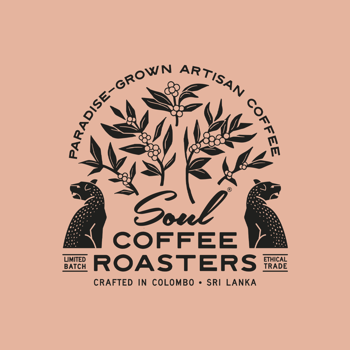 Products – Page 7 – Soul Coffee Roasters